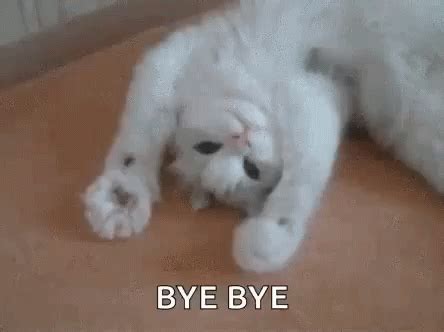 Cat Bye S Tenor