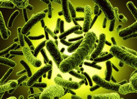 Antimicrobial Technology From Microban Gets Bluesign Approval