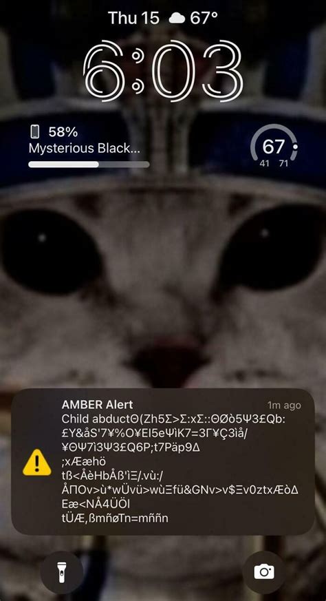 50 Hilarious Pics Of The Worst Software Fails People Have Ever Encountered New Pics Bored Panda