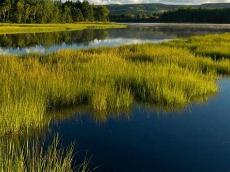 Datastream Publishes Open Data Standard To Support Water Science Article Datastream