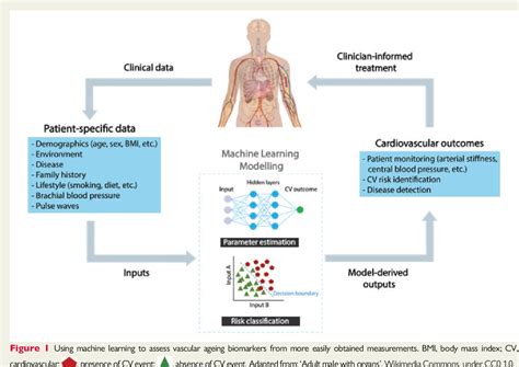 Figure 1 From Leveraging The Potential Of Machine Learning For Assessing Vascular Ageing State