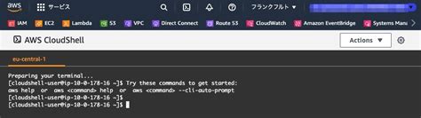 Aws Cloudshellで「rm Rf 」を実行してみた Developersio