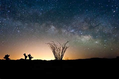 Via Lactea Milky Way Cholla And Ocotillo In Anza Borre Flickr
