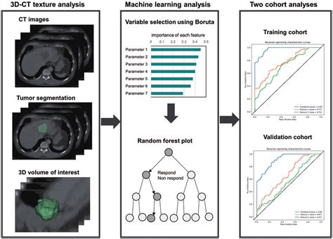 Figure1the Workflow Of Ct Radiomics Based Machine Learning Analysis Download Scientific Diagram