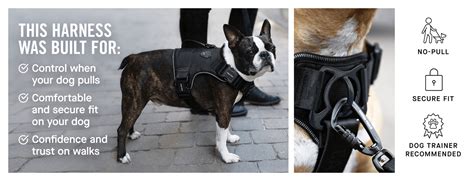 Complete Control Harness Canada Pooch
