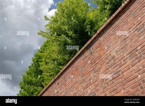Border Wall With Park And Plants Behind Secret Garden Borders And Walls With Space Beyond