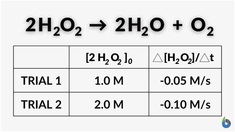 Formula Of First Order Kinetics At Mary Aplin Blog