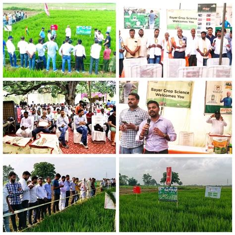 Vinay Singh On Linkedin Directacres Dsr Bayer