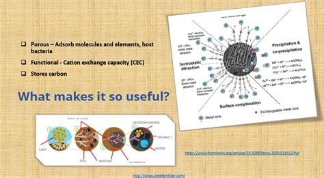 Three C Magnetic Biochar Virtual Exhibition