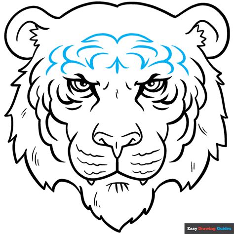 Easy Tiger Drawing