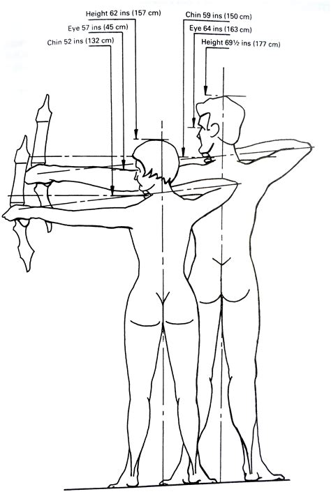 The Infinite Curve An Archery Blog