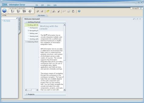 Data Profiling With Ibm Information Analyzer