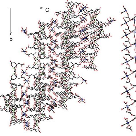 Scheme 1 Coordination Modes Of The Citrate In Complexes 1 And 2 A Download Scientific