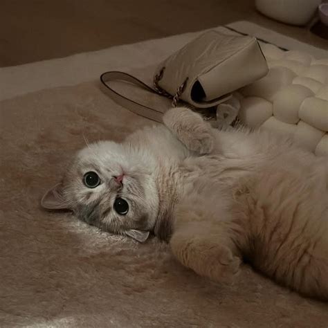 Yumi Threads Say More