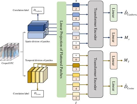 Patch Spatio Temporal Relation Prediction For Video Anomaly Detection