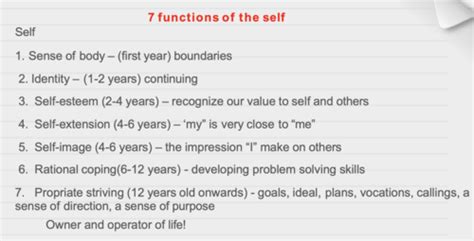 SAS Module Flashcards Quizlet