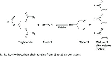 Biodiesel Fuel Production By Transesterification Of Oils Biodiesel