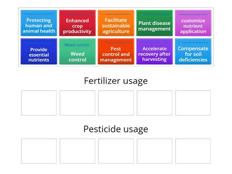 Sort The Correct Usage To The Correct Group Group Sort