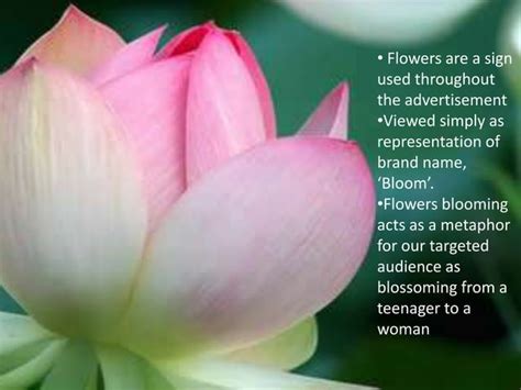 Media And Comm Text Storyboard Pptx Business Business And Finance