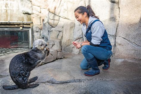 Meet Jessica Wan Sea Otter Aquarist Teen Career Resources Monterey