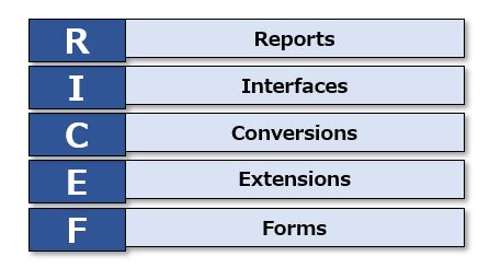 SAPRICEFライセフとは3分で解説します ビズドットオンライン