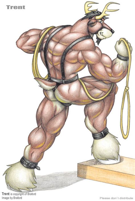 Rule 34 5 Fingers Ankle Tuft Ankleband Anthro Antlers Ass Beard Belt Big Muscles Black Beard