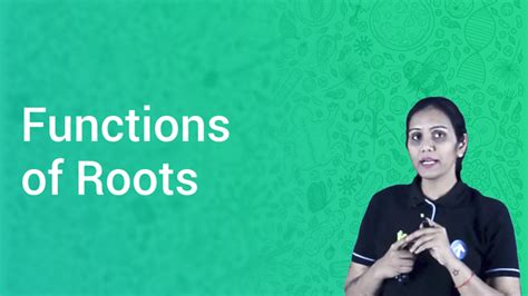 Functions Of Roots In English Biology Video Lectures