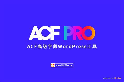 汉化 Advanced Custom Fields Acf Pro V643 提升wordpress开发效率的高级自定义字段插件wpsea模板
