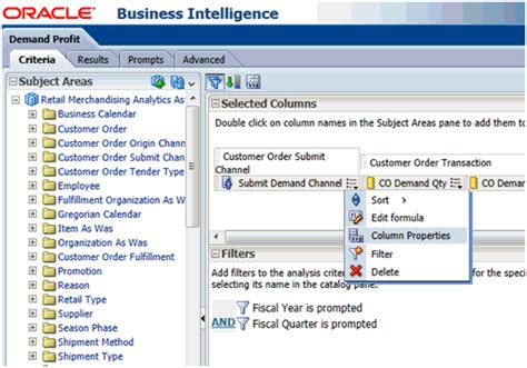 Oracle Bi Ee Integration In Retail Application