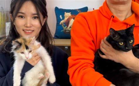 猫德学院第一届猫德杯谁是最强打工猫选拔大赛 爱壹帆