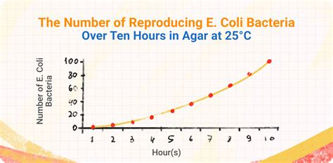 How To Write A Lab Report Tips And Samples Essaypro Blog