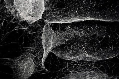 Cyber And Human Vulnerabilities Who Is The Ethical Hacker And Why Should We Care