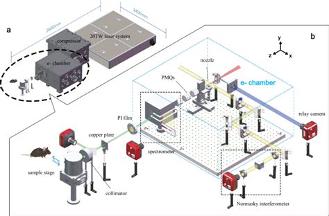 Preclinical Tumor Control With A Laser Accelerated High Energy Electron Radiotherapy Prototype
