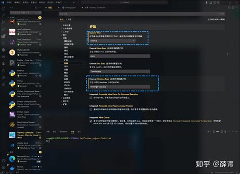 Vscode