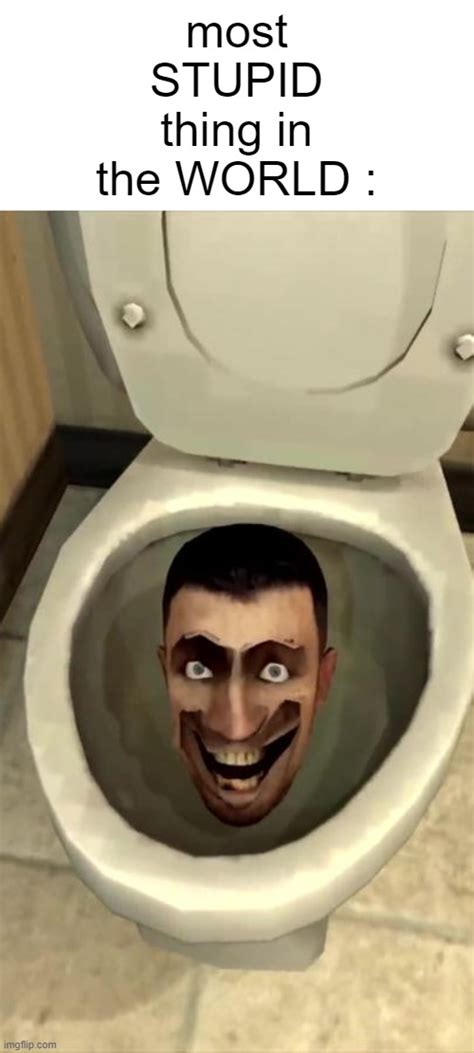 Wtf Toilet Memes