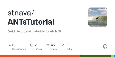 Antstutorial Handout Antsgithubexamples Rmd At Master Stnava