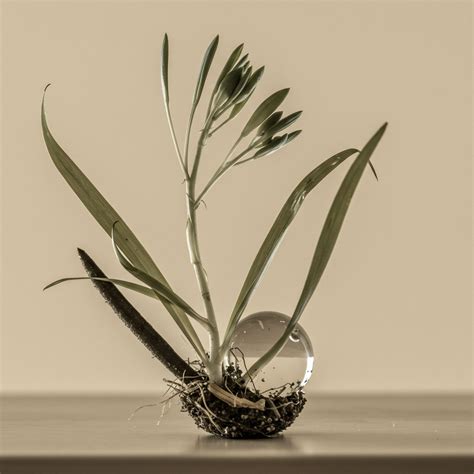 Distributed Ledger Systems → Term