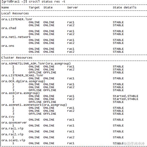 Oracle 19c Rac搭建详细攻略 Oracle19c数据库实例 Csdn博客