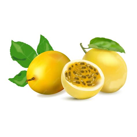 Fruta Tropical Maracuya Dibujo Realista Cortada Vector Premium