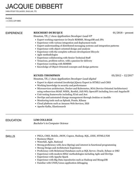 java application developer lead resume samples velvet jobs
