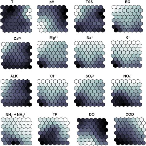 Som Component Map Showing The Contribution Of 16 Variables On The Som