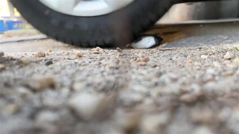 Running Over A Mouse