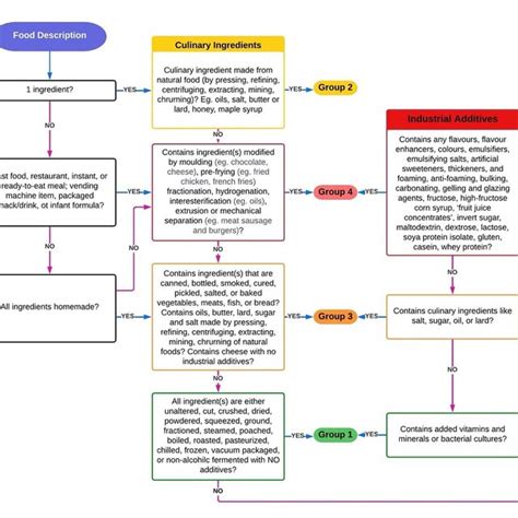 Nova Classification Flowchart For Classifying Food Items According To Download Scientific