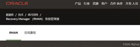 oracle数据库备份工具，可以备份oracle数据库的工具有那些？ oracle备份工具 csdn博客
