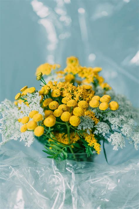 10 000 Foto Cewek Putih Mulus Terbaik · Unduh Gratis 100 · Foto Stok Pexels