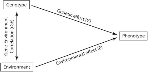 Geneenvironment Correlation Difficulties And A Natural Experiment