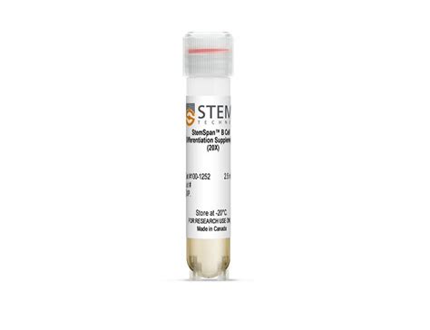 Stemspan™ B Cell Differentiation Supplement 2 20x Stemcell Technologies