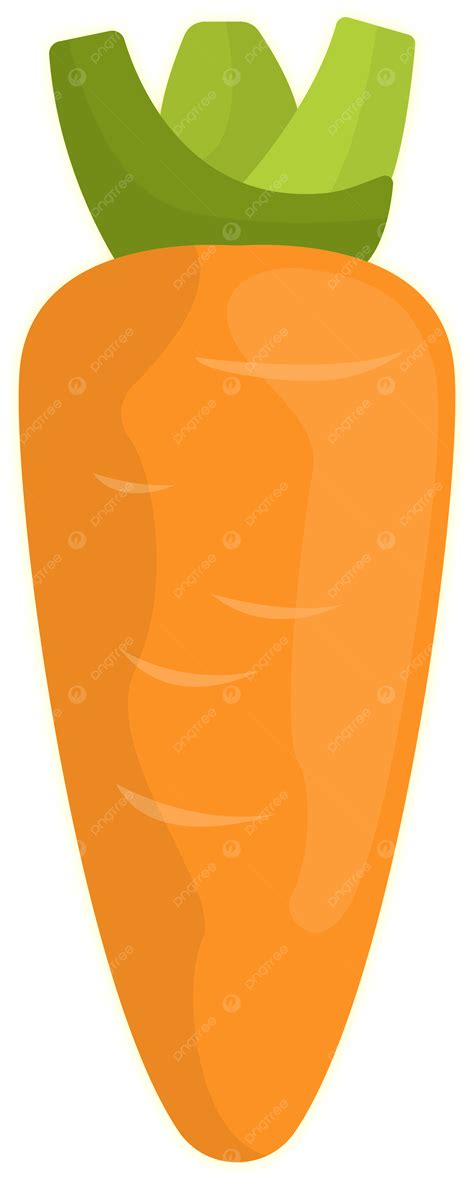 당근 벡터 당근 채소 당근 클립 아트 Png 일러스트 및 벡터 에 대한 무료 다운로드 Pngtree
