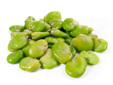 Boiled Broad Beans On White Background Isolated Stock Image Image Of Classic Food 232025577