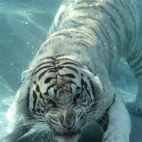 ดาวนักศึกษา บางครั้งก็แอบชอบ บางรอบก็แอบแซ่บ ‼️🩷🩷😽 ดาวนักศึกษา ดาวมหาลัย ดาวใน